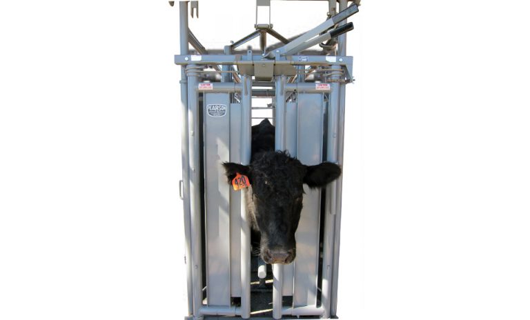Self-Catch Headgate - Pearson Livestock Equipment